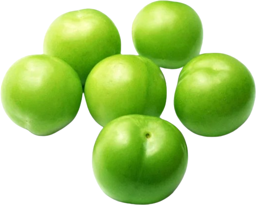 Startseite - Serpamarkt