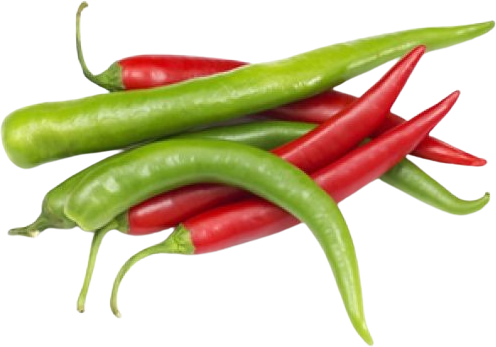 Angebote - Serpamarkt